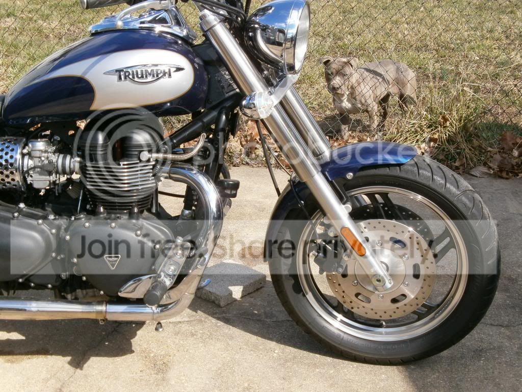 testing | Triumph Rat Motorcycle Forums