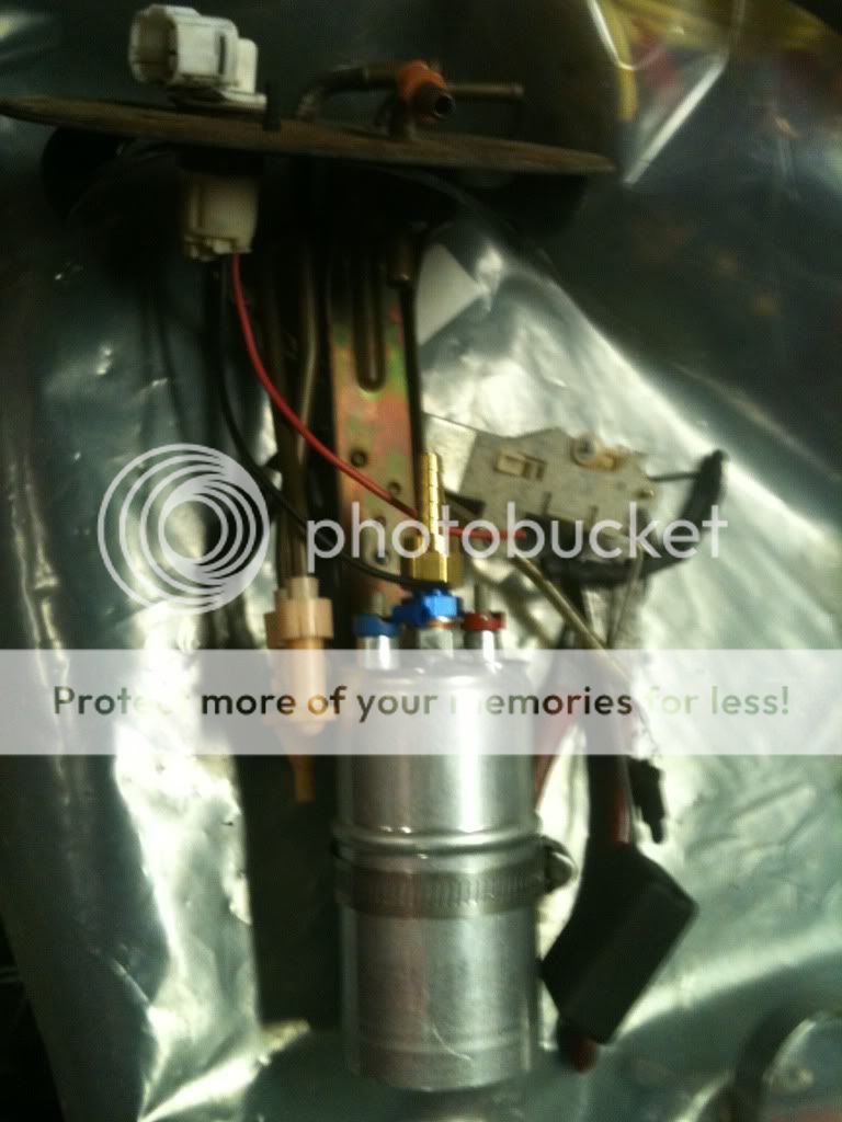 Bosch 040 fuel pump | IW STi Forum