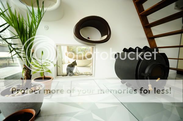 locuintele lacustre | OPEN SPACE DESIGN