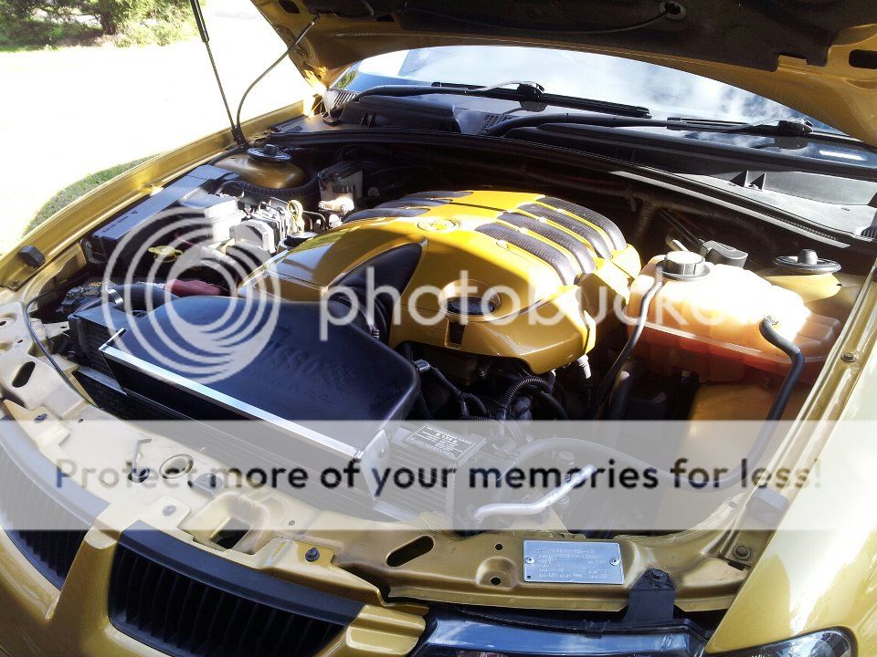 Vx ss hyper yellow (sshake) | Just Commodores