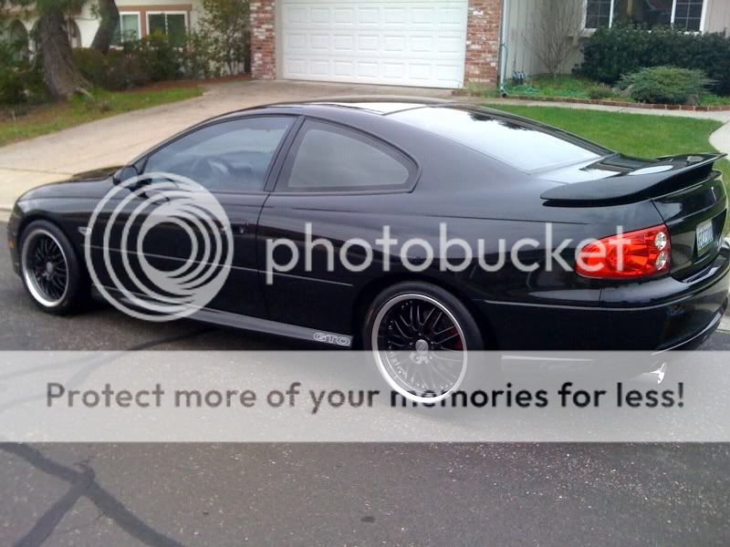 Just got my Ruff Racing R281's on last week | LS1GTO Forums