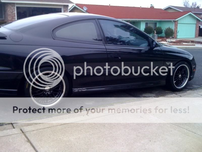 Just got my Ruff Racing R281's on last week | LS1GTO Forums