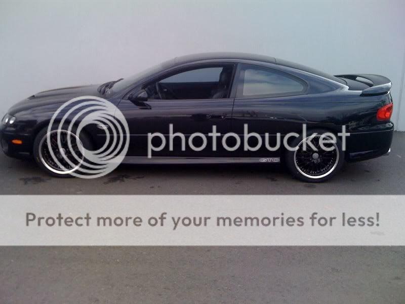 Just got my Ruff Racing R281's on last week | LS1GTO Forums